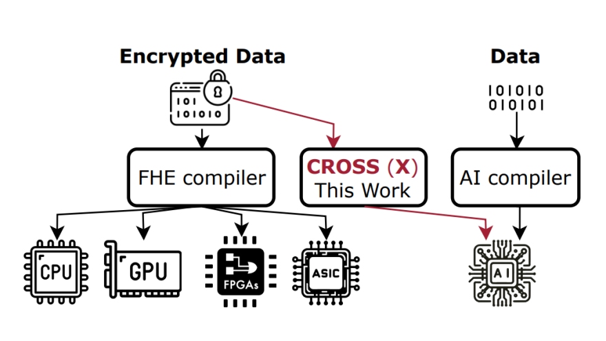 Leveraging ASIC AI Chips for Homomorphic Encryption