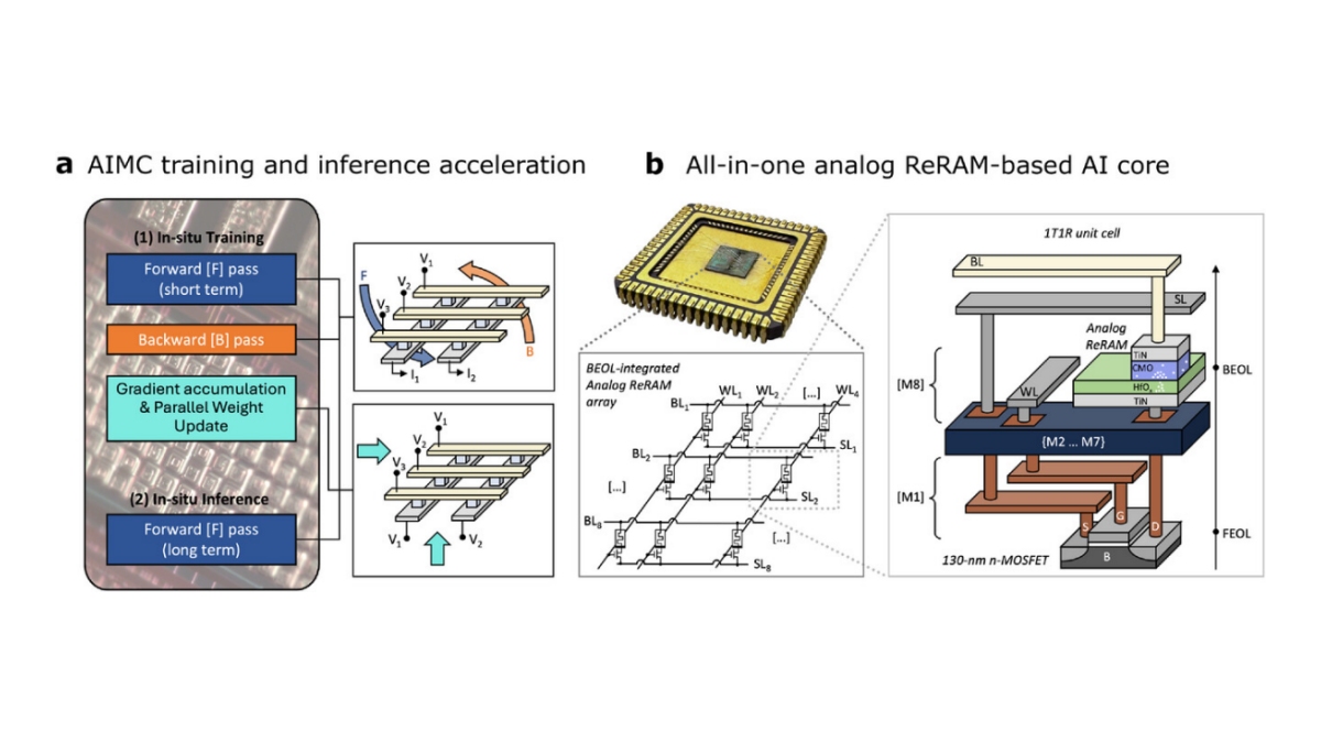 All-in-One Analog AI Hardware: On-Chip Training and Inference with Conductive-Metal-Oxide/HfOx ...