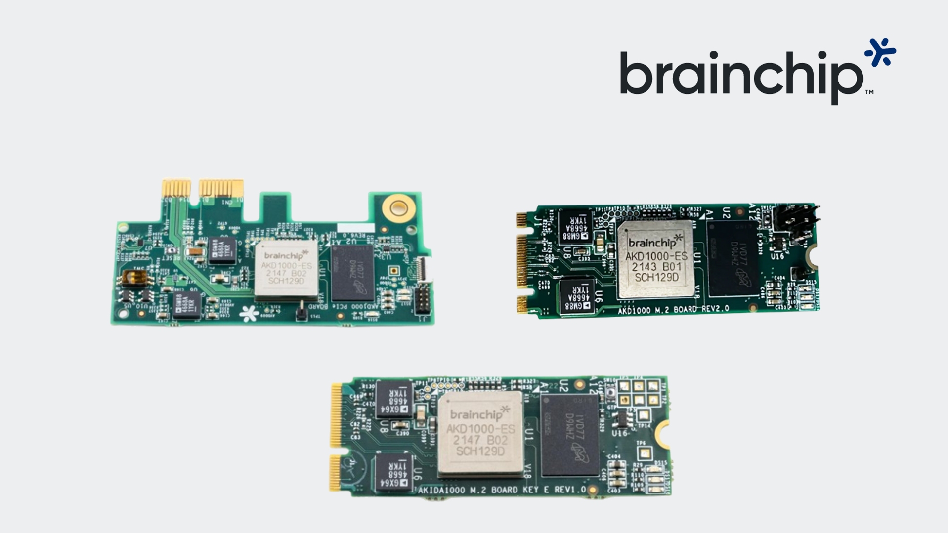 BrainChip Expands Global Reach, Announces Akida Boards and AI ...