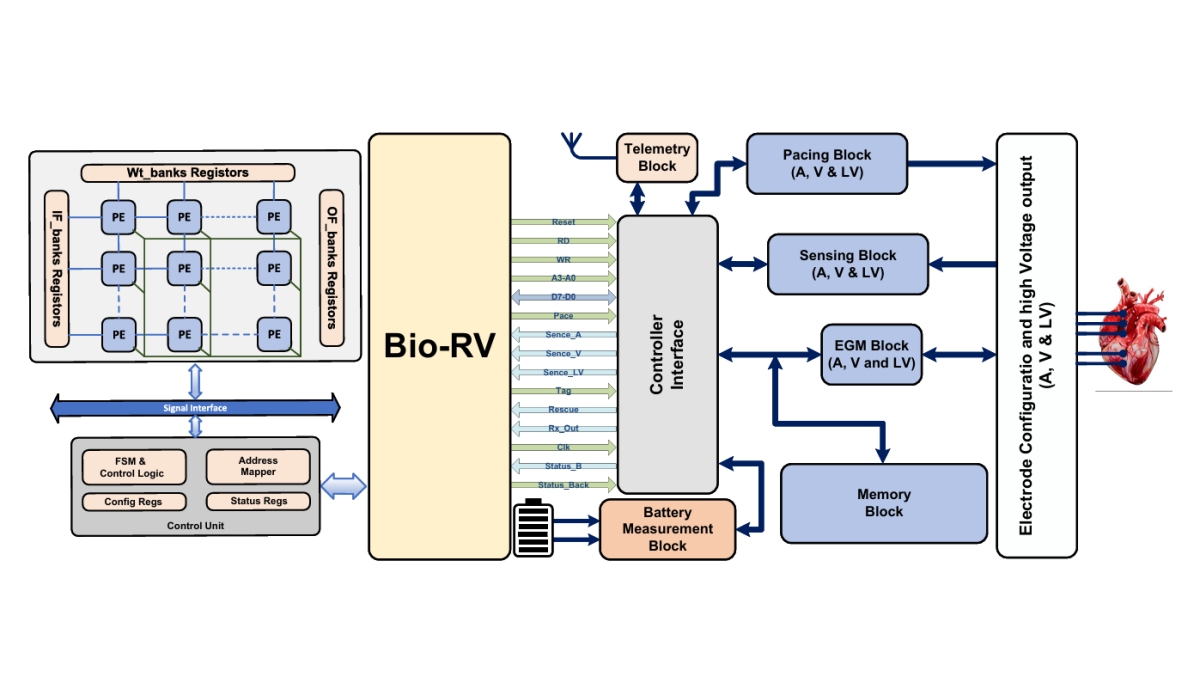 Bio-RV: Low-Power Resource-Efficient RISC-V Processor for Biomedical ...